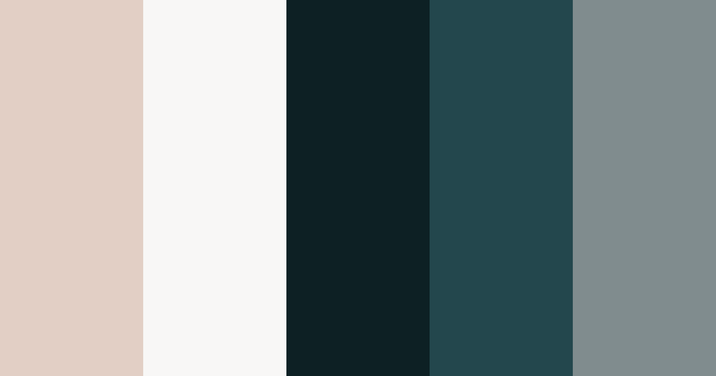 Color Palette generated based on #E2CFC5, #F8F7F6, #0D2024, #23474D ...