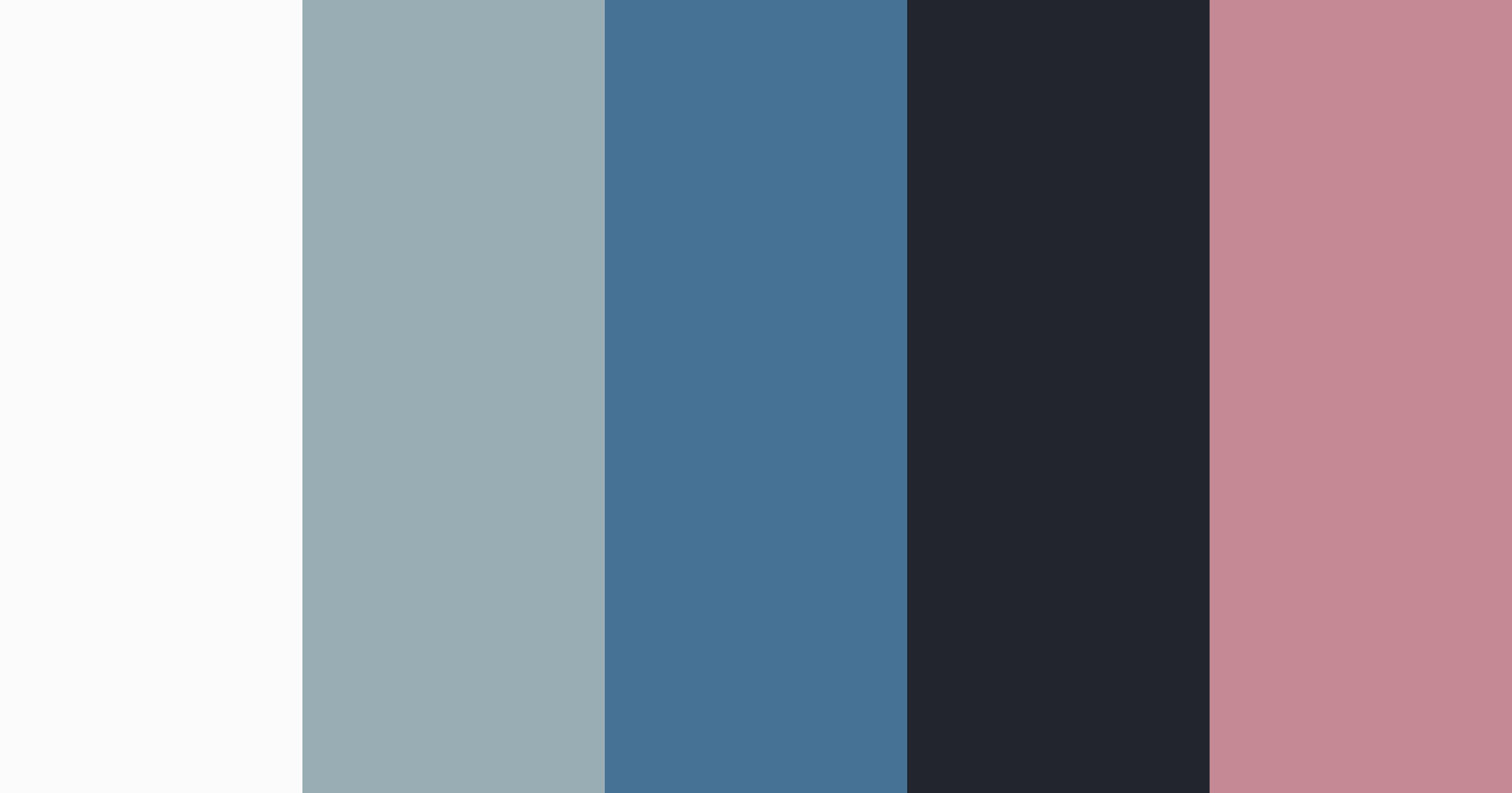 Color Palette generated based on #FCFCFC, #99AEB5, #467295, #21252E ...